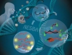 KAIST 박현규 교수팀, 코로나19 등 RNA 바이러스 조기 검출 기술 개발