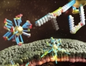 KIST·UNIST, 분자 기계적 움직임으로 암세포 직접 뚫는 ‘나노머신’ 개발